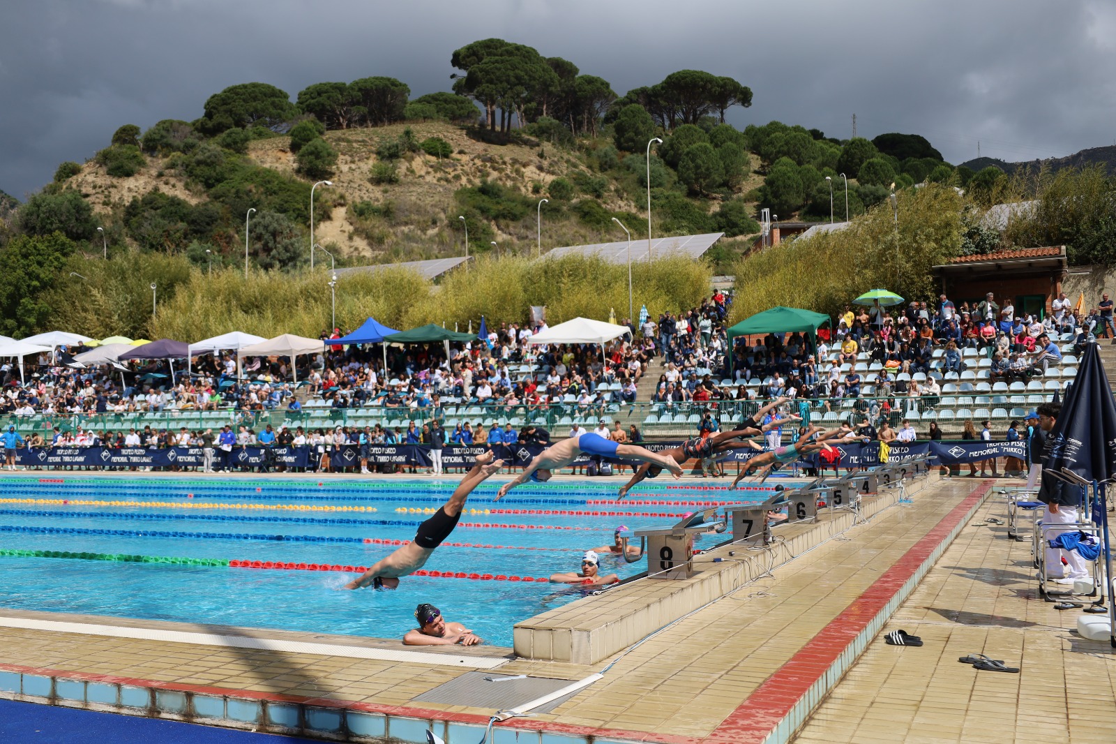 NUOTO - La Poseidon Swim vince il "18° Trofeo Piskeo Memorial Mirko ...